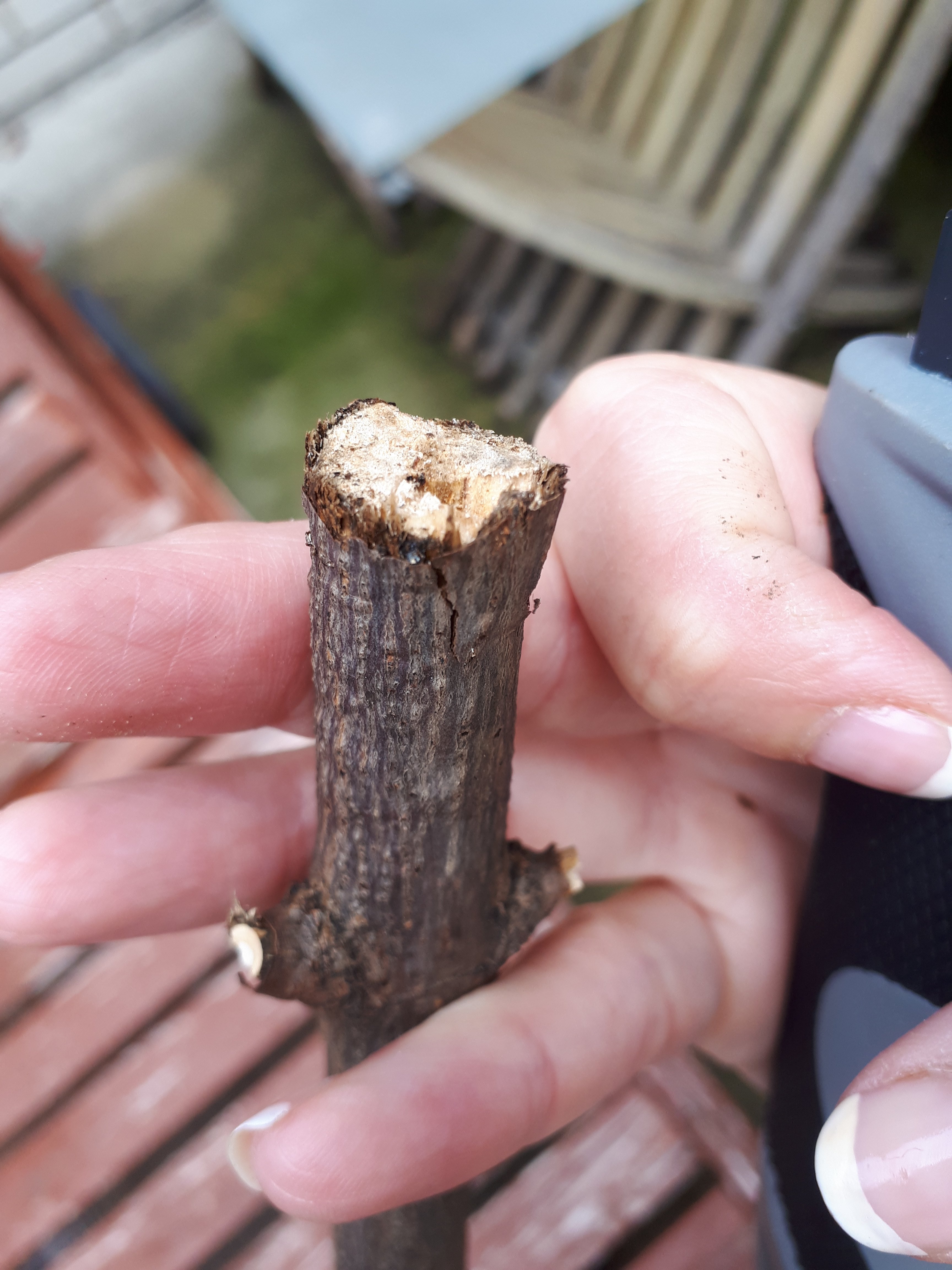 Stick and Stone Spear (2 Methods) – But First We Craft