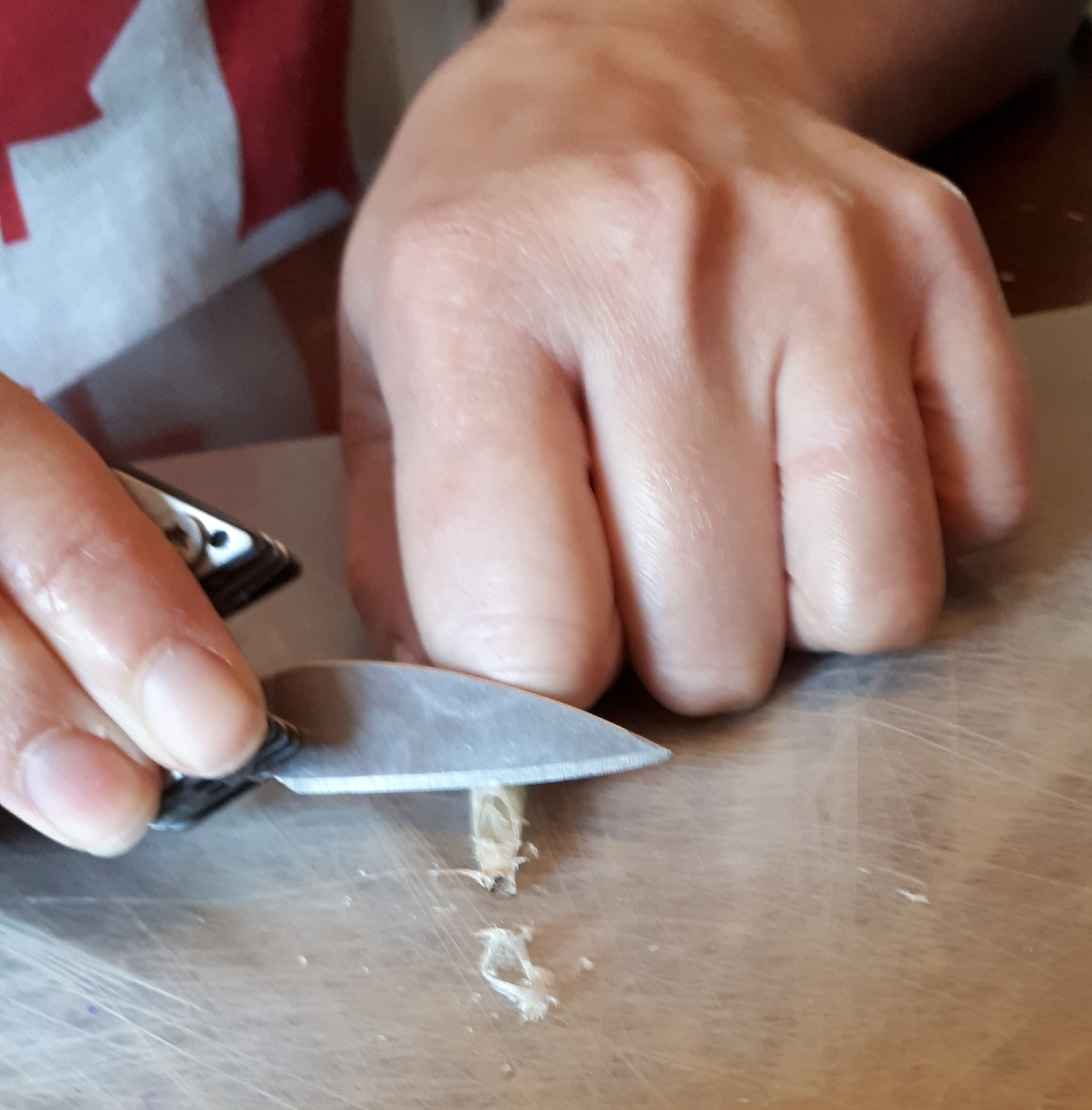 How to Make a Feather Quill and Ink – But First We Craft